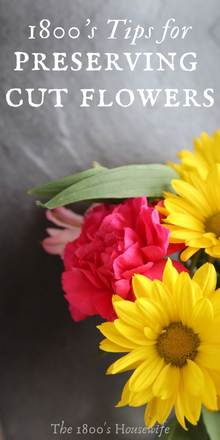 Preserving Cut Flowers - The 1800s Housewife
