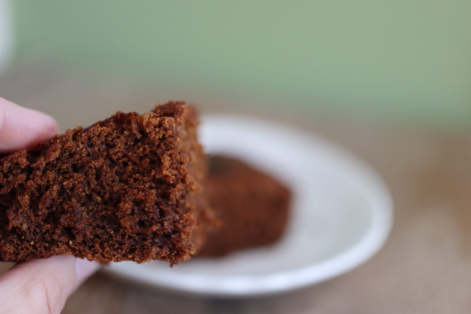 Soft Gingerbread (1856) - The 1800s Housewife