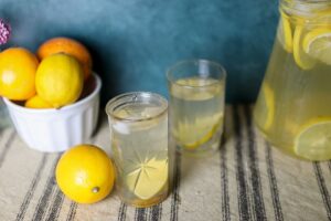 Lemonade (1881) - The 1800s Housewife