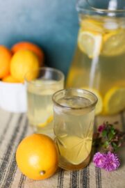 Lemonade (1881) - The 1800s Housewife