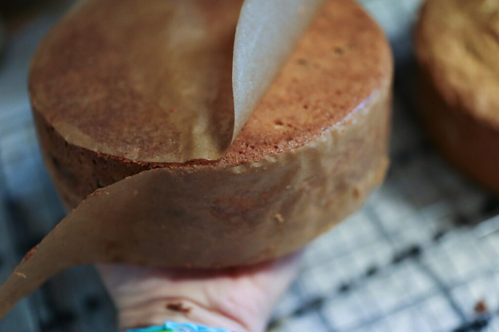 Hickory Nut or Walnut Cake (1887) - The 1800s Housewife