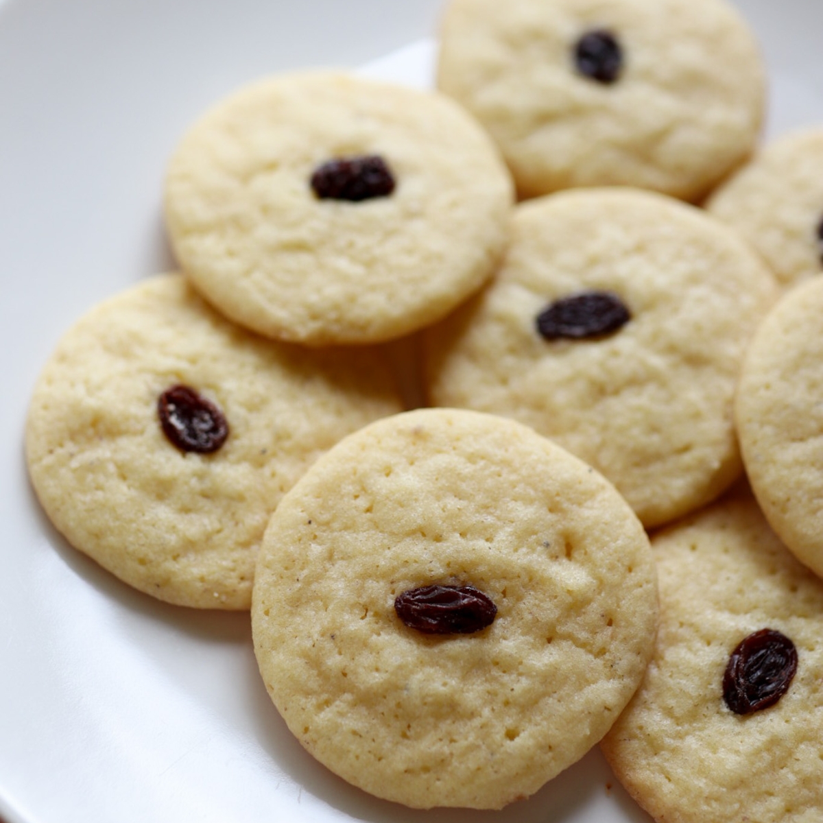 Connecticut Cookies (1875) - The 1800s Housewife