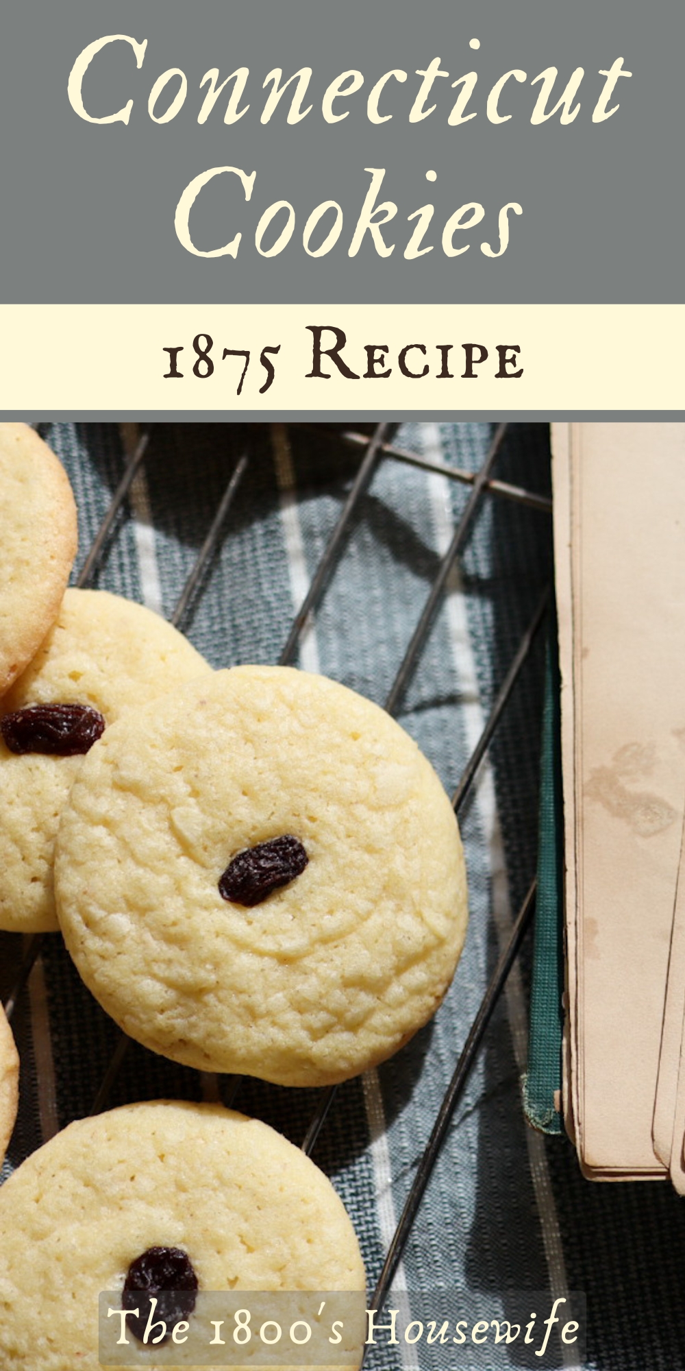 Connecticut Cookies (1875) - The 1800s Housewife