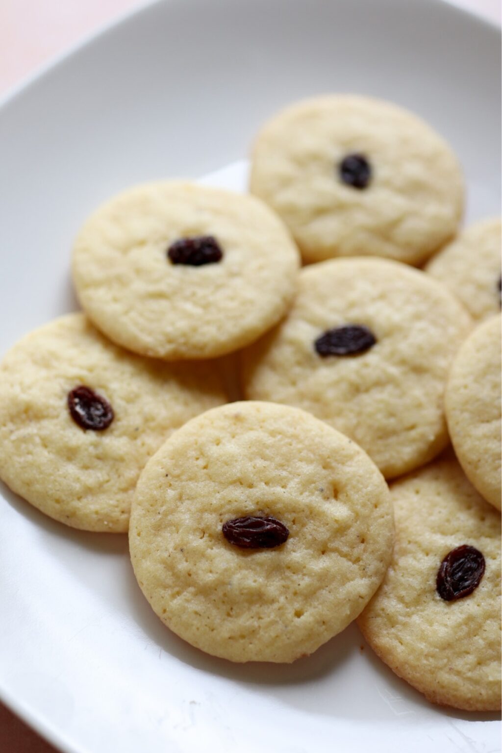 Connecticut Cookies (1875) - The 1800s Housewife